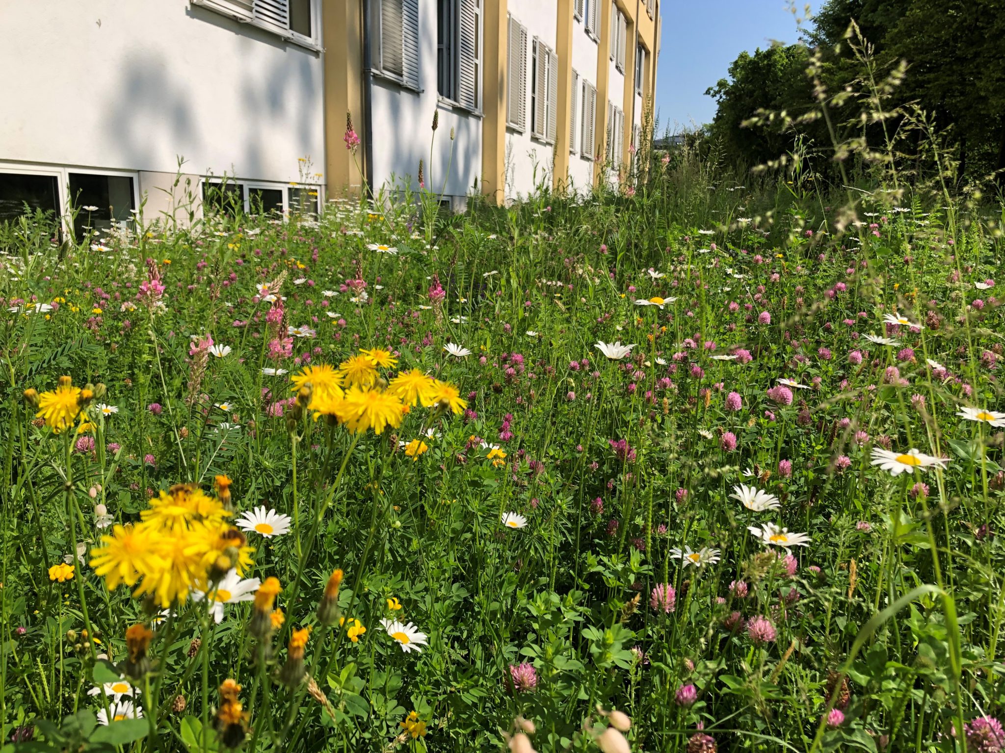 Biodiversität - nachhaltigeuniversitaeten.at
